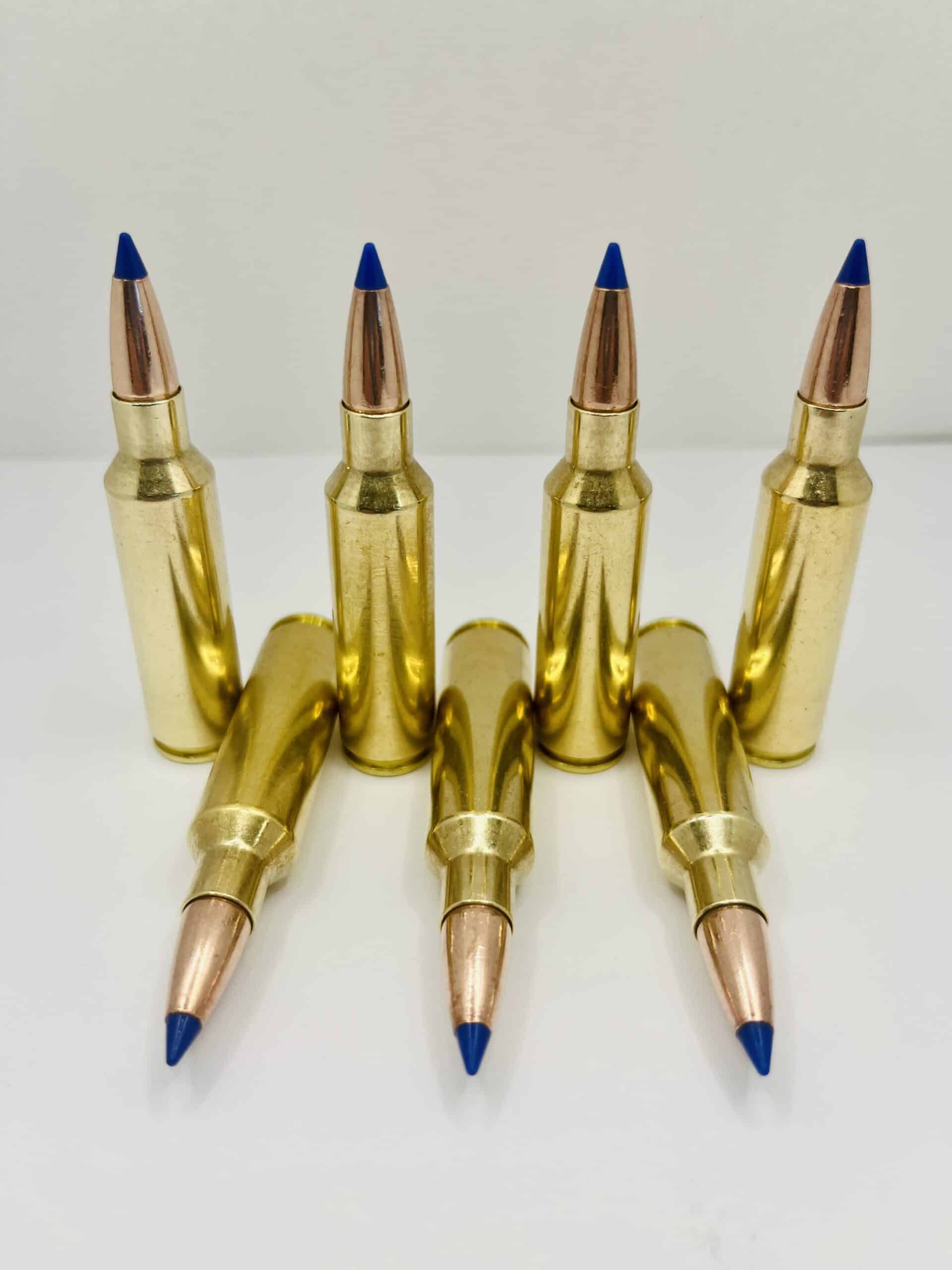 .300 Winchester Short Magnum, 180 grain TTSX Tipped Triple Shock X ...